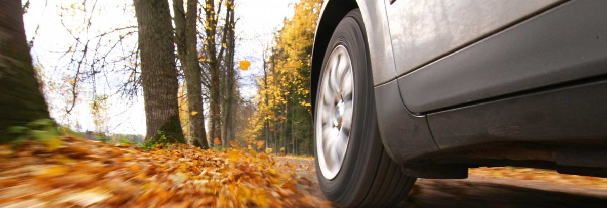 Before Autumn: Getting your Car Ready for the Unpredictable Conditions ...